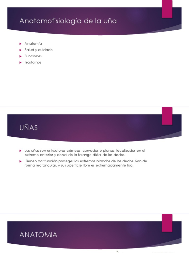 Anatomía de la Uña y Su Función | PDF