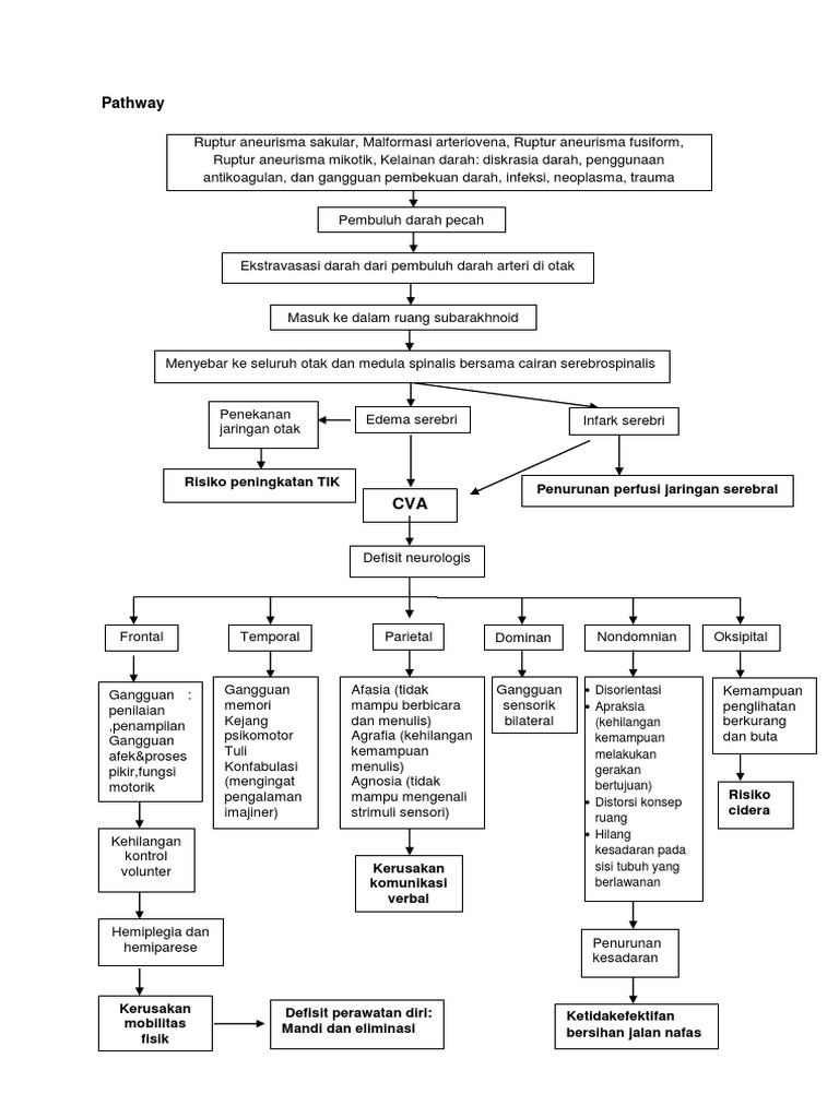 Pathway Edema Serebri dan CVA | PDF