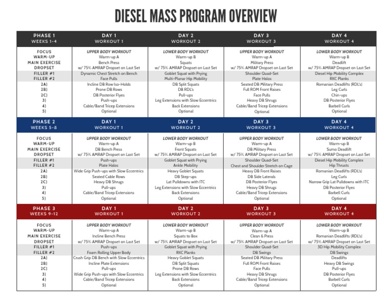 2 DM Program Overview PDF | PDF