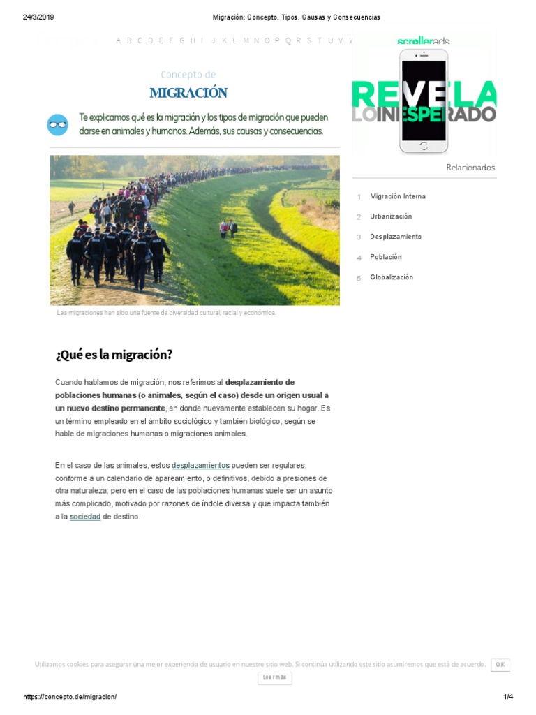 Migración - Concepto, Tipos, Causas y Consecuencias | PDF | Migración ...