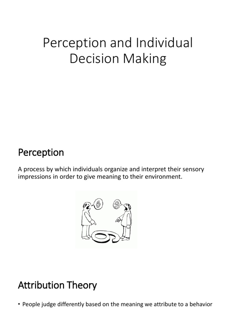 Perception and Individual Decision Making | PDF