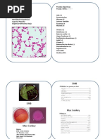 Pruebas Bioquimicas para Enterobacterias | PDF | Química | Las bacterias