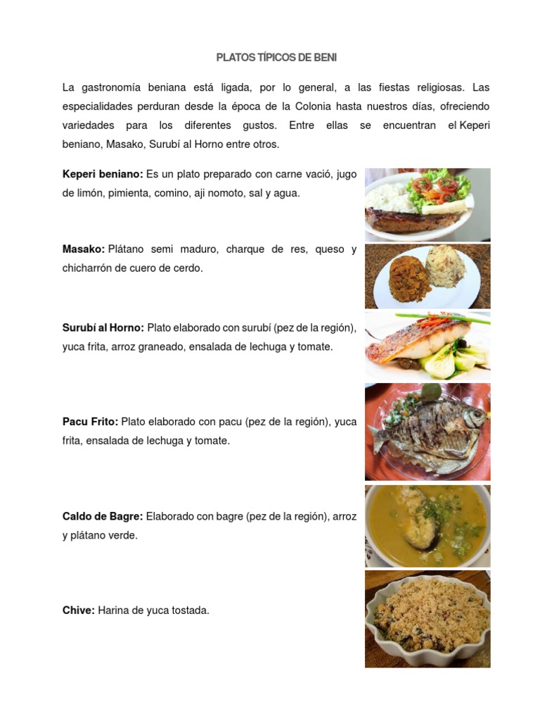 Platos Típicos de Beni | PDF | Cocina de las Americas | Cocina europea