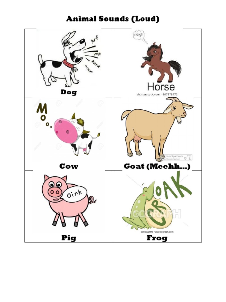 Animal Sounds: Loud & Soft Guide | PDF