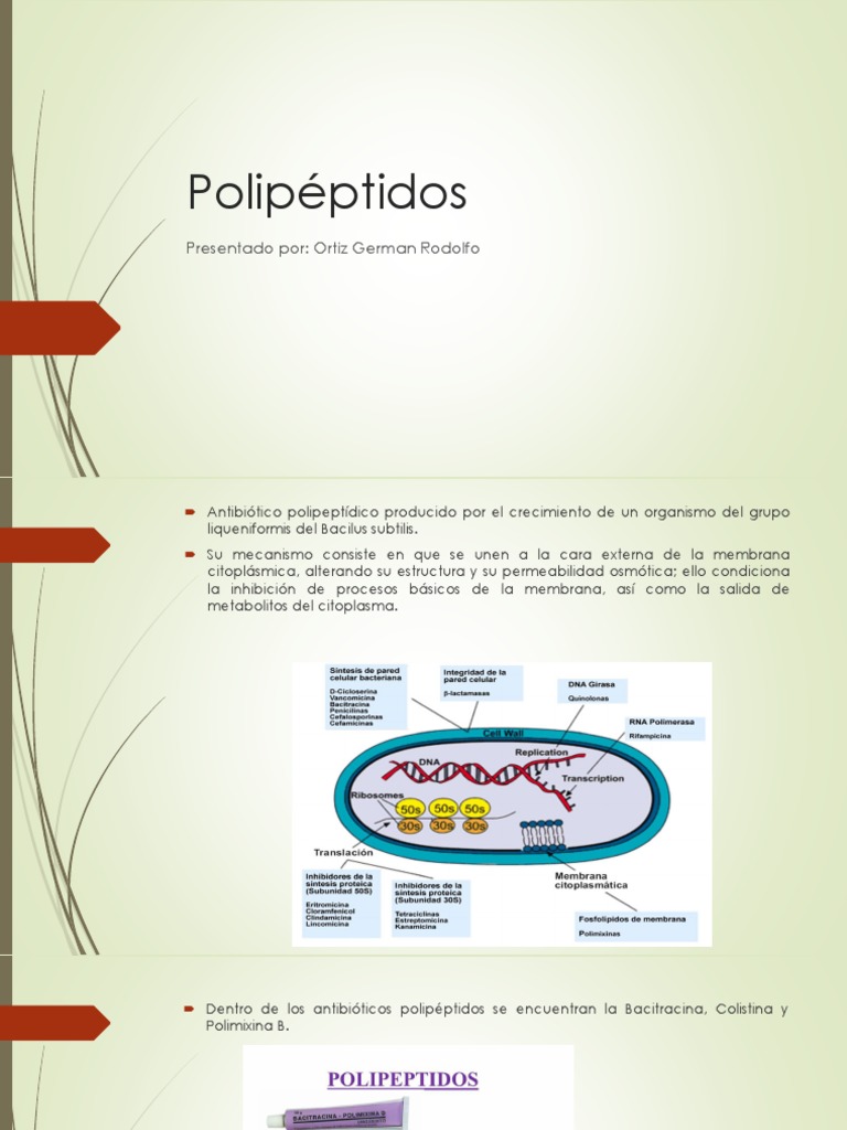 Polipéptidos | PDF | Bacterias Gram-negativo | Las bacterias