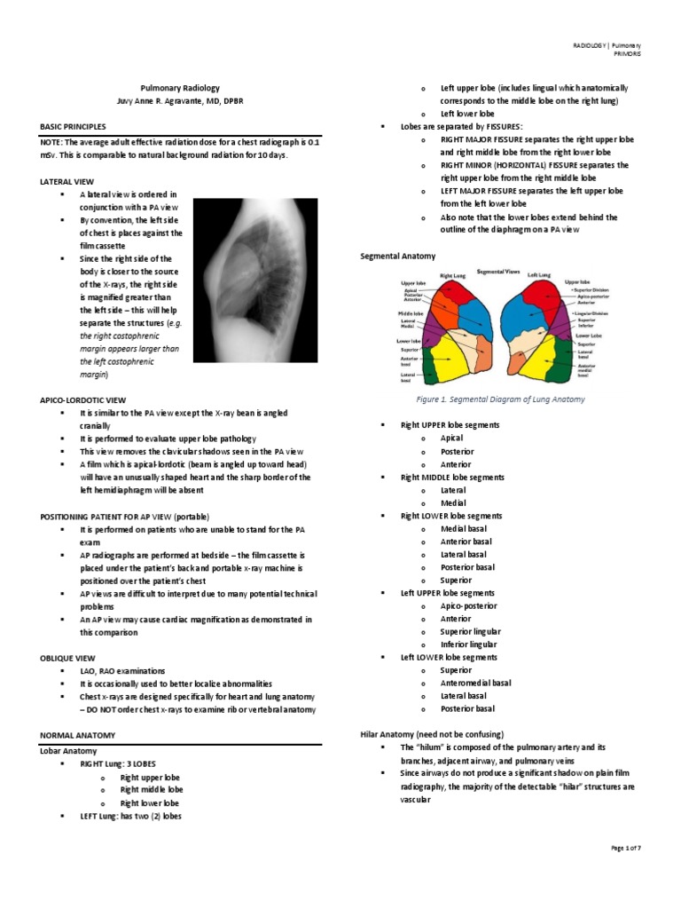 (RAD) 03 - Pulmonary Radiology | PDF | Lung | Anatomical Terms Of Location