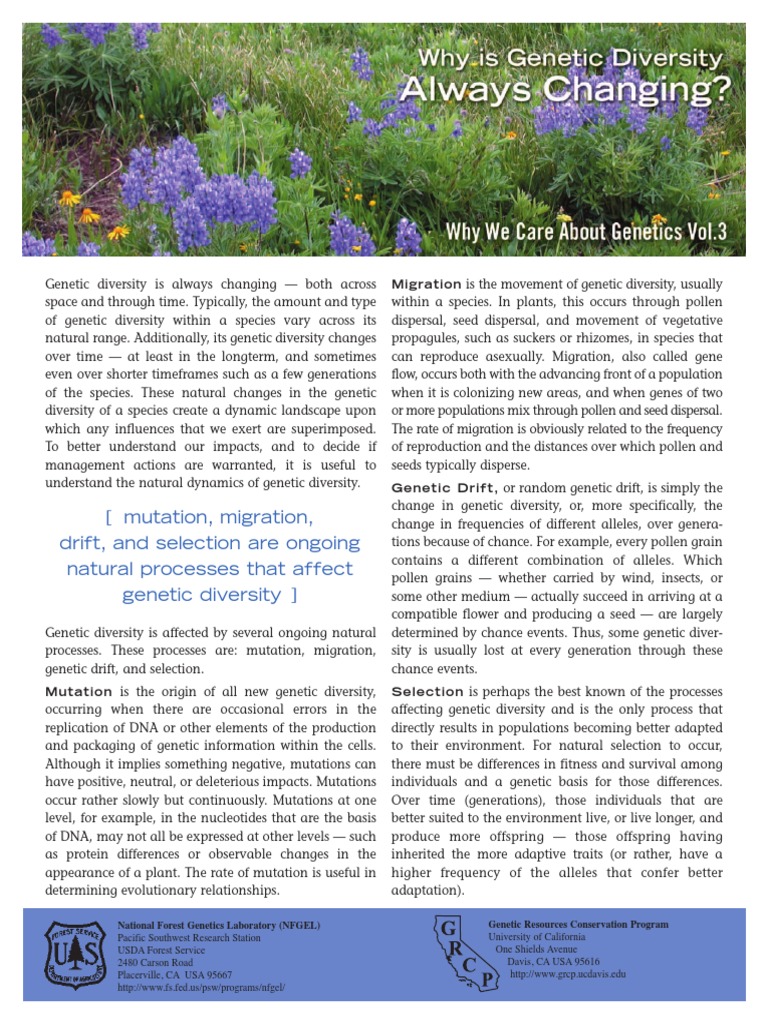 Genetics Vol 3 | PDF | Mutation | Genetic Diversity