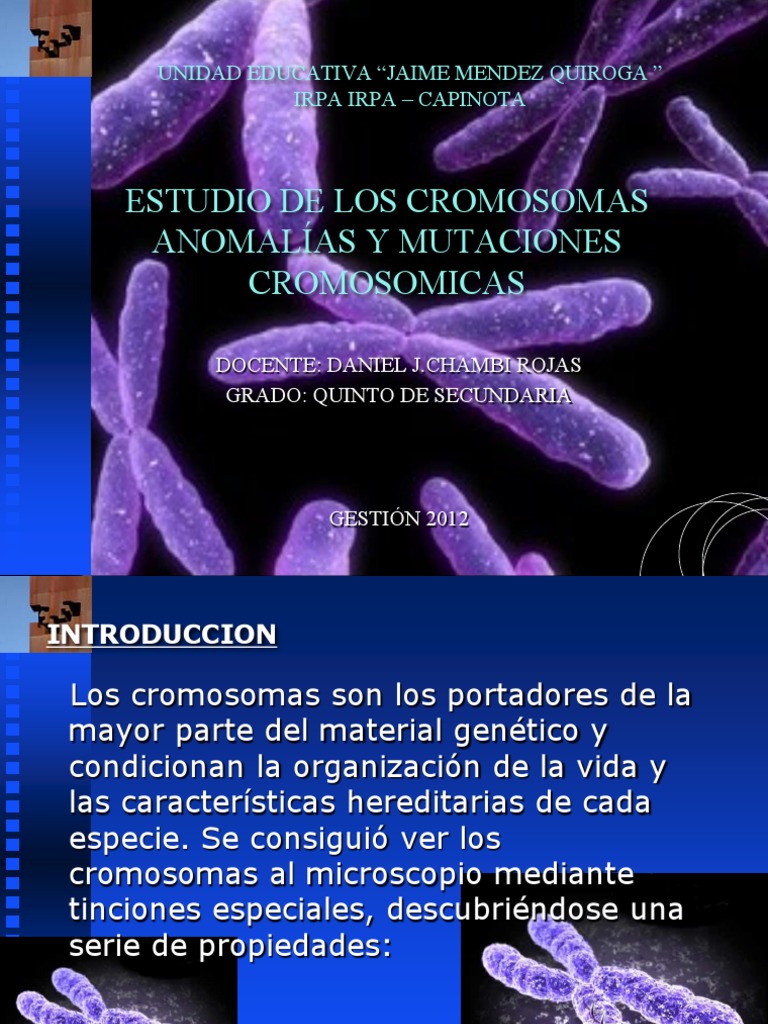 Estudio De Los Cromosomas Anomalías Y Mutaciones Cromosomicas ...