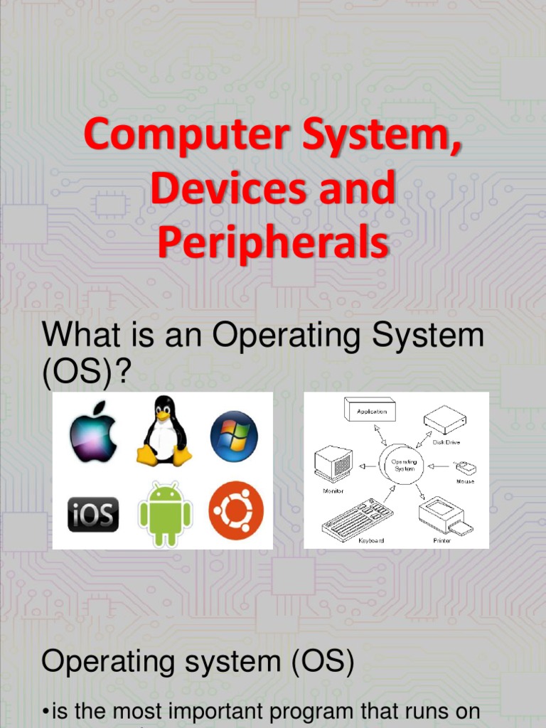 Computer System Device | PDF | Computer Monitor | Computer Data Storage