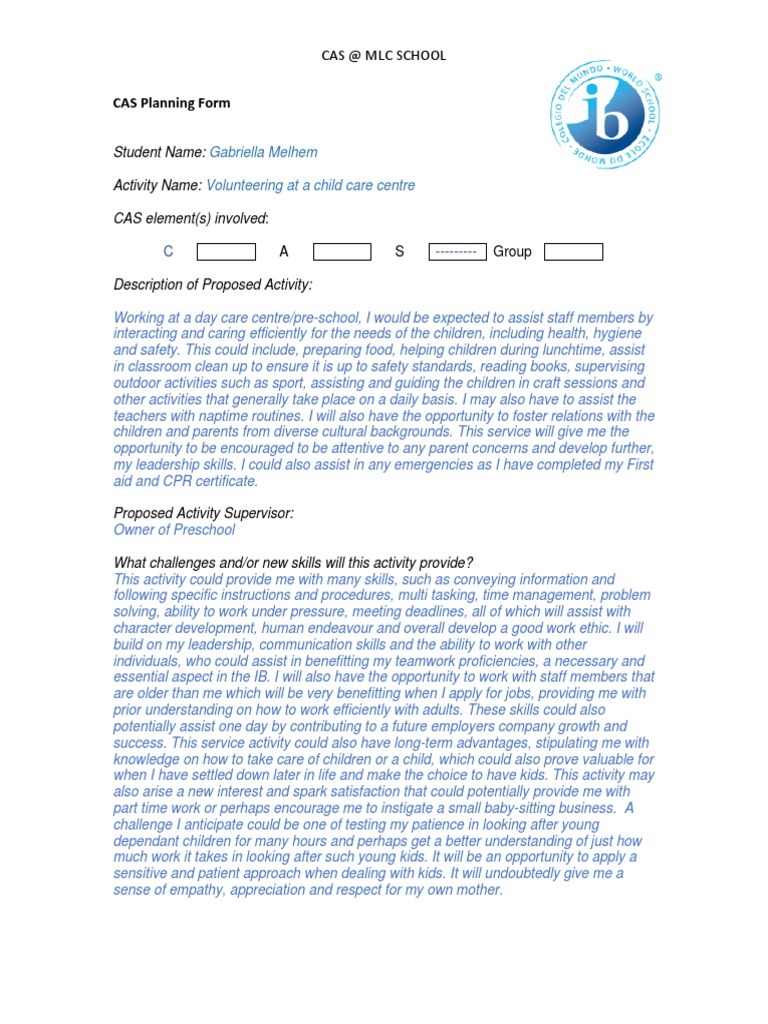 Cas Planning Form Service | PDF | Child Care | Relationships