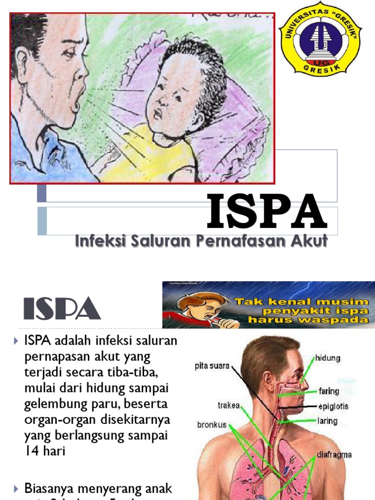 Penyuluhan Ispa | PDF