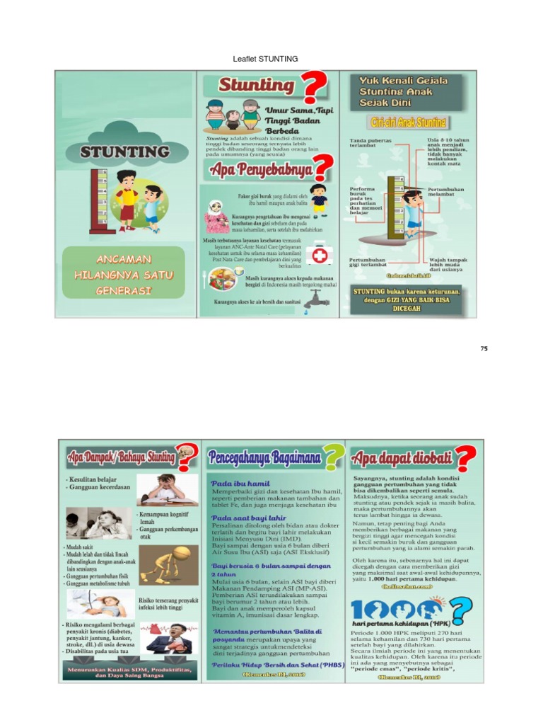Leaflet Stunting | PDF