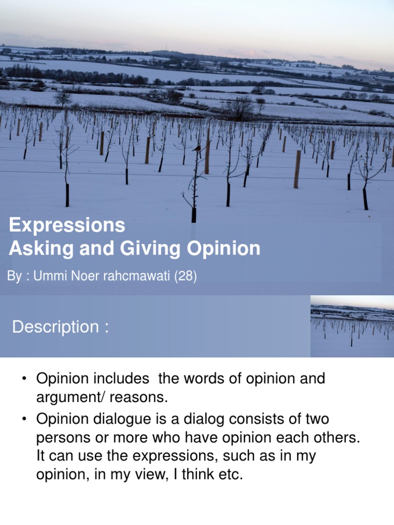 Opinion Dialogue Expressions Guide | PDF