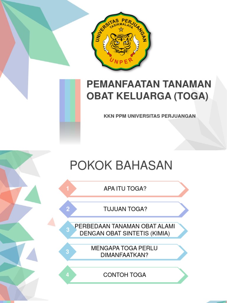 Manfaat dan Jenis Tanaman TOGA | PDF