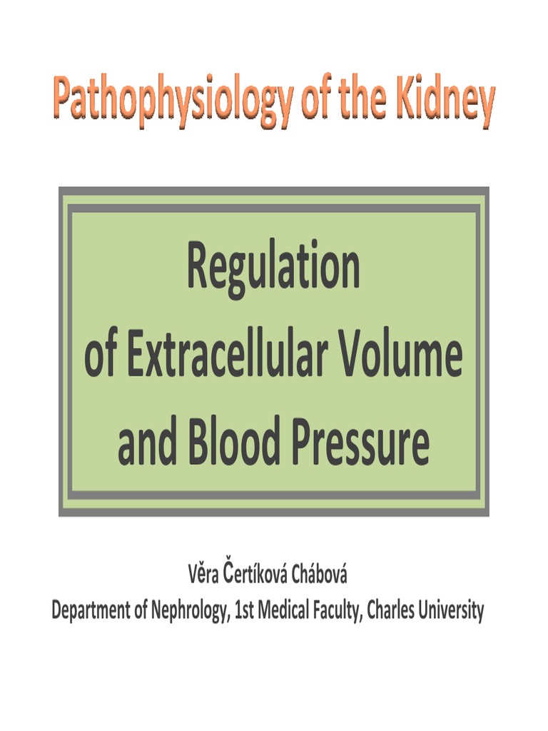 Regulation of Blood Pressure and Volume | PDF | Kidney | Animal Anatomy