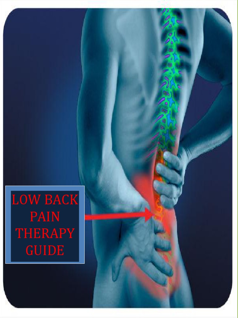 Low Back Pain Therapy Guide | Download Free PDF | Vertebral Column ...