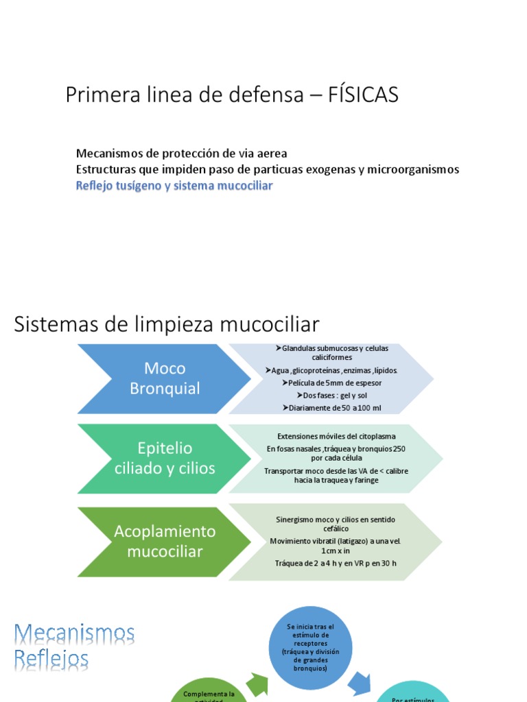 Primera Linea de Defensa | PDF | Tos | Anatomía