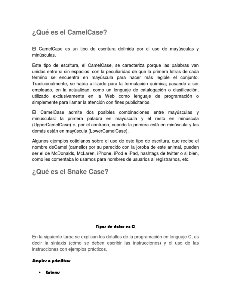 Que Es El CamelCase | PDF