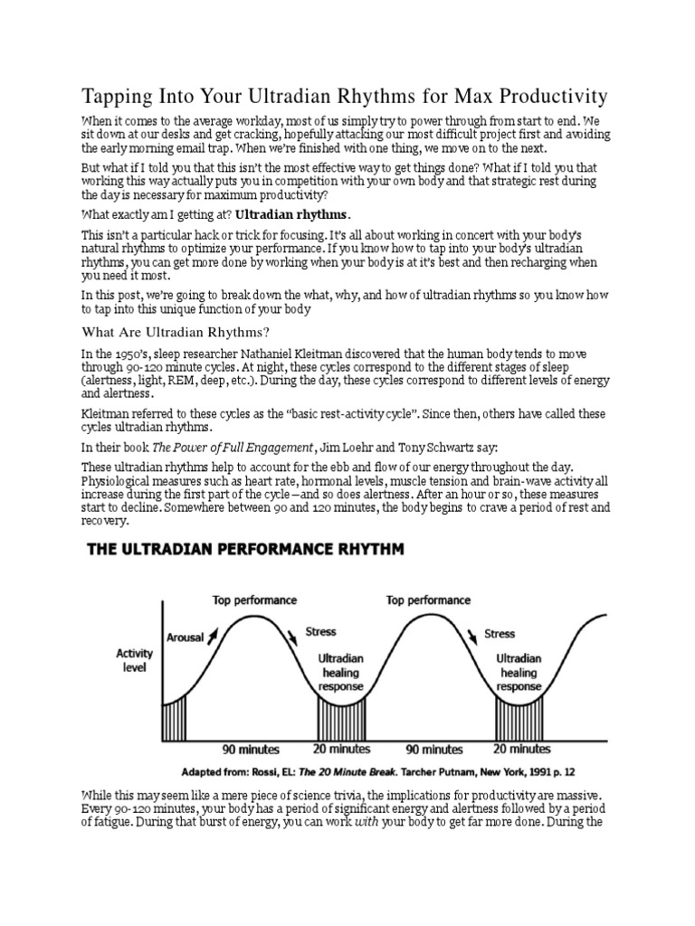 Tapping Into Your Ultradian Rhythms For Max Productivity | PDF | Sleep ...