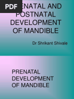 Understanding Nance Leeway Space | PDF | Tooth | Animal Anatomy