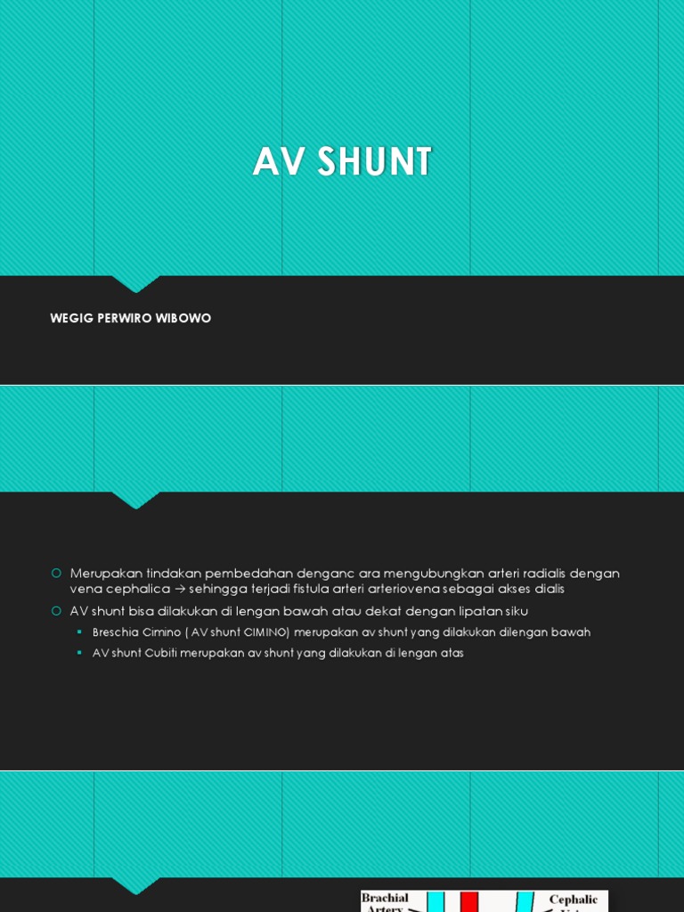 Av Shunt | PDF
