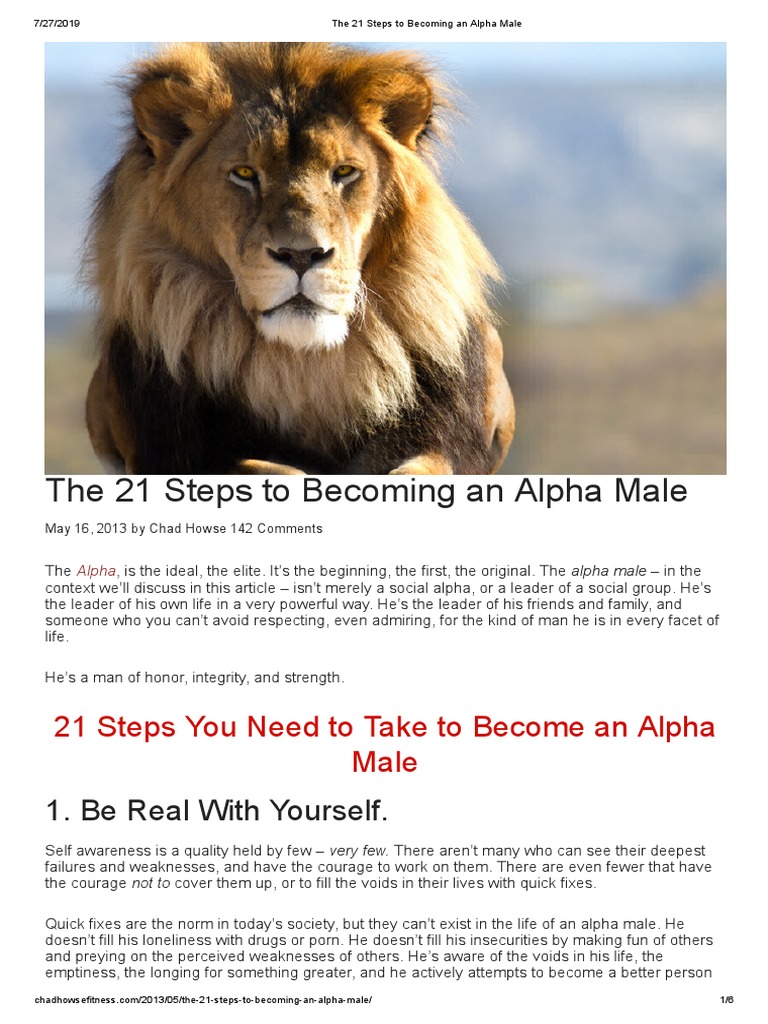 Alpha Male | Bullying
