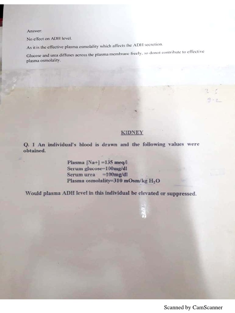 Renal Physio PBL | PDF