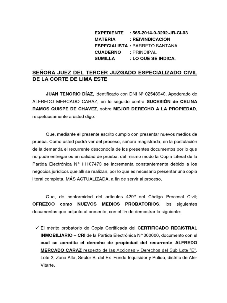 MEDIOS PROBATORIOS EXTEMPORANEOS - modelo.docx | Información del ...