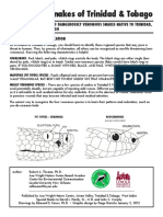 Snake Awareness Toolbox Talk | PDF | Snake