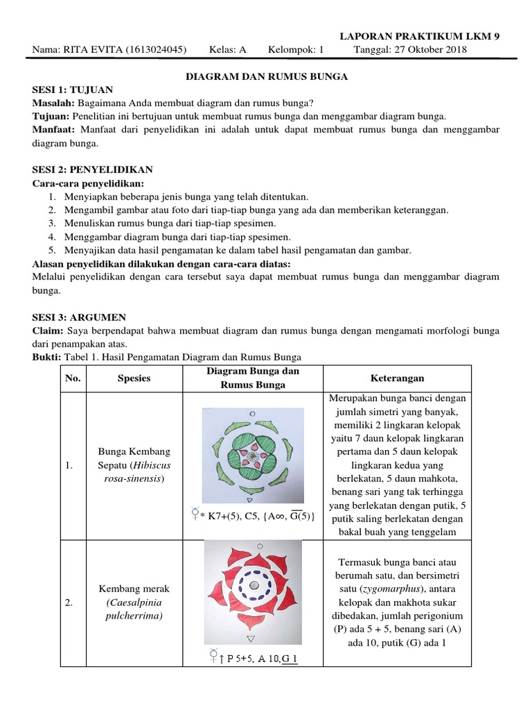 1A-1613024045 - RITA EVITA-LKM 9 Diagram Dan Rumus Bunga | PDF