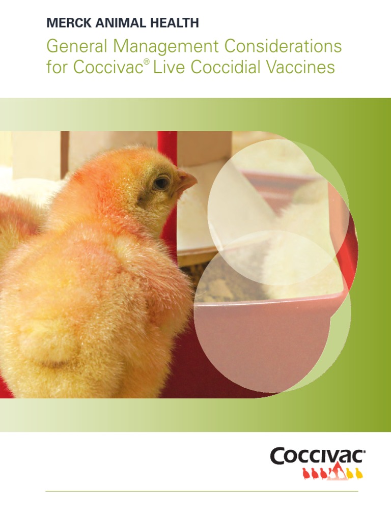 Coccivac - ca-Broilers-Coccivac Guide-EN PDF | PDF | Vaccines | Poultry ...