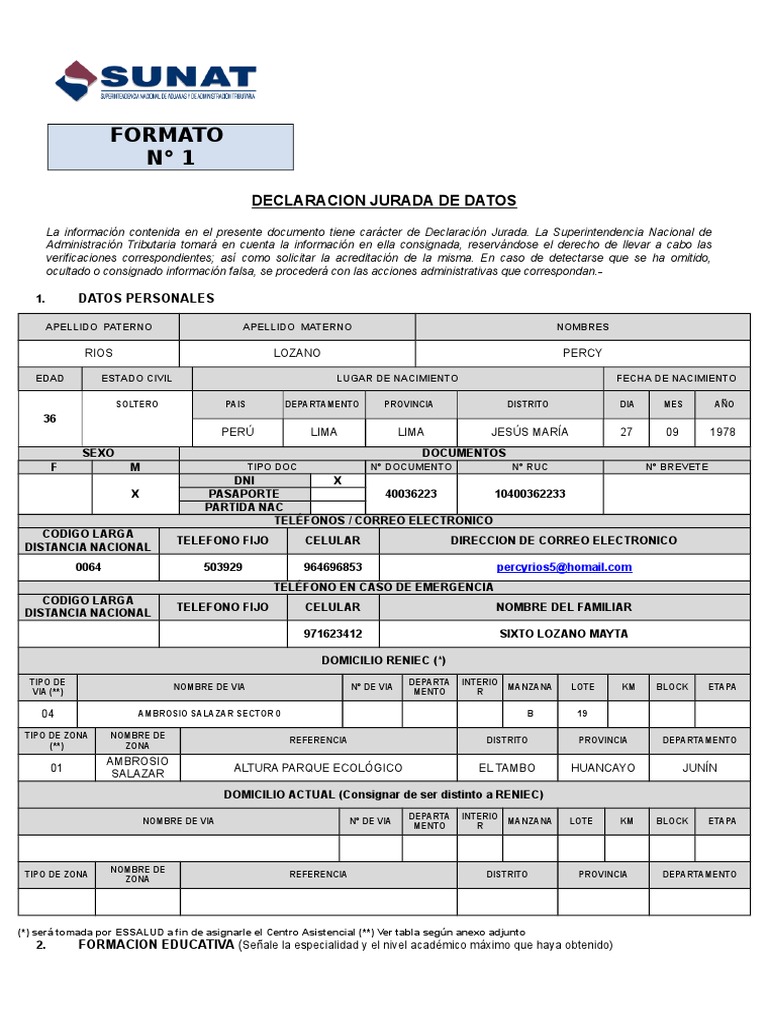 Formatos Sunat | PDF | Educación Secundaria | Academia