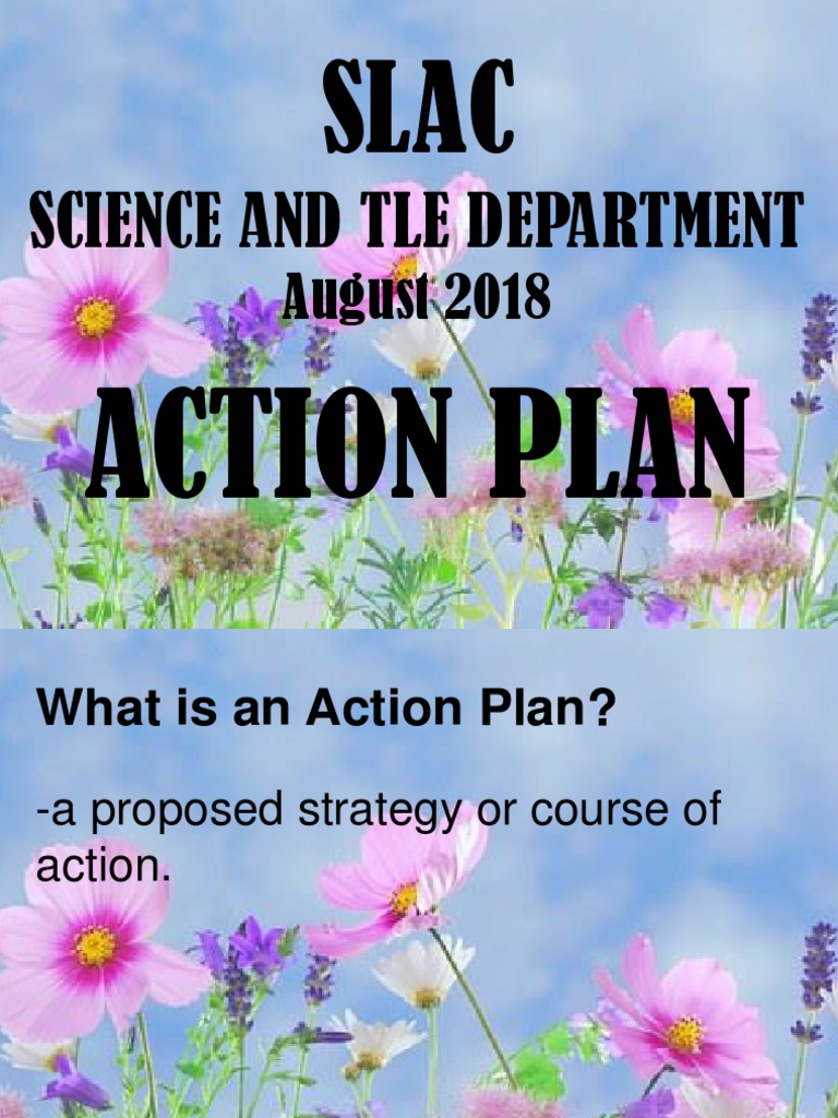 Action Plan | PDF | Goal | Motivation