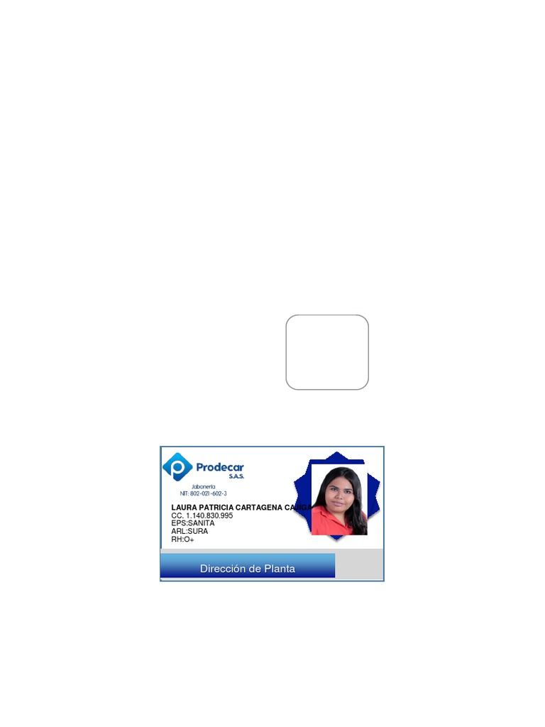 Modelo Carnet | PDF
