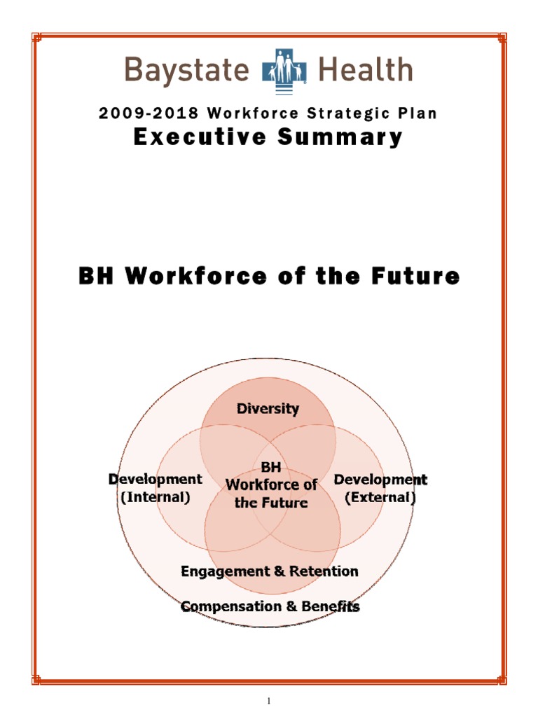 Workforce Strategic Plan Executive Summary | PDF | Employee Retention ...