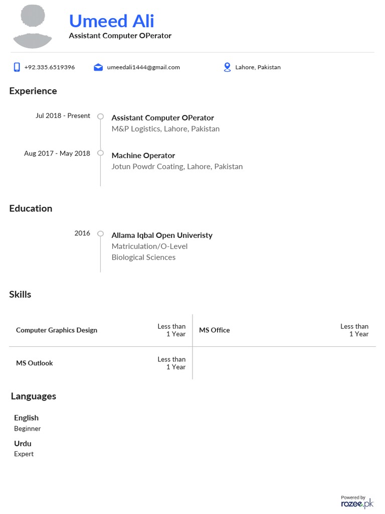 Umeed Ali - Computer Operator Profile | PDF