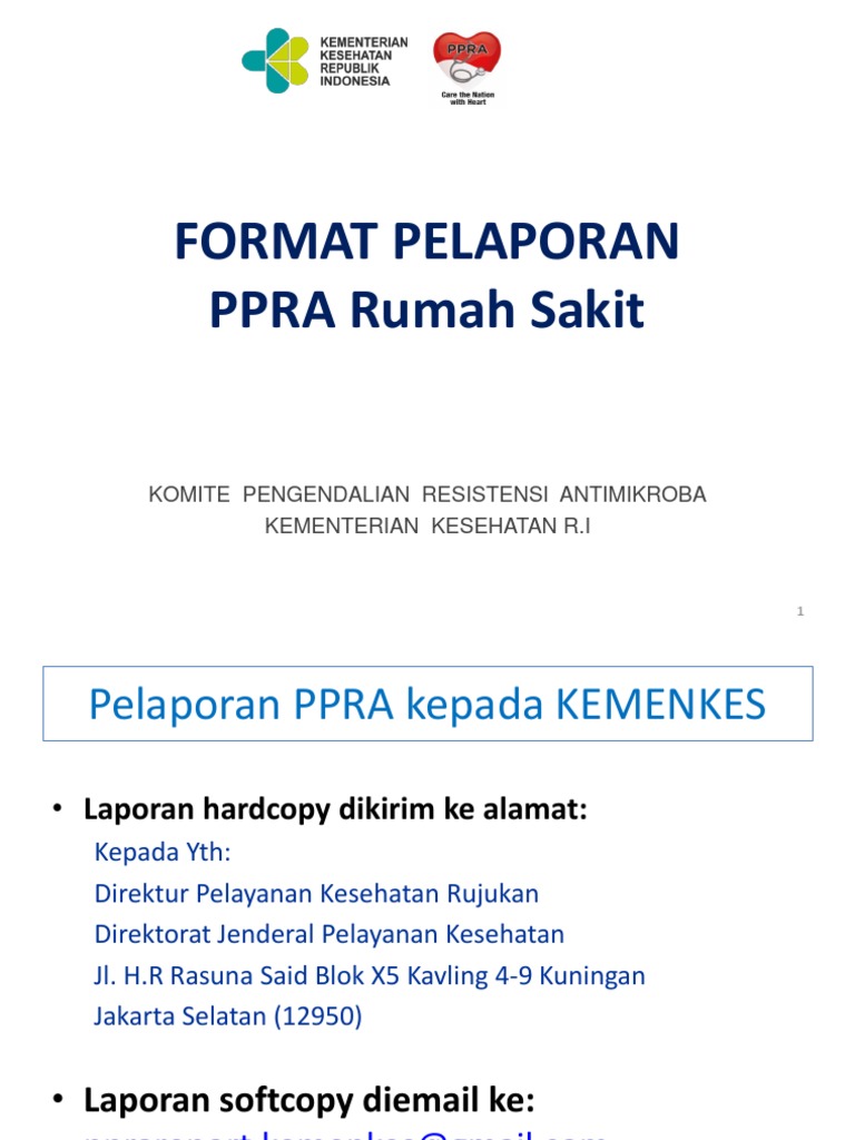 Format Pelaporan Ppra Rumah Sakit | PDF | Pengembangan Diri | Sains & Matematika