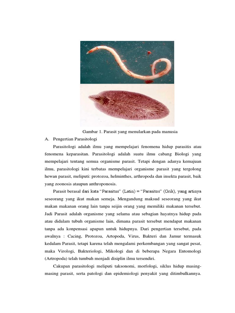 Memahami Parasit Fakultatif dan Hospes | PDF | Sains & Matematika