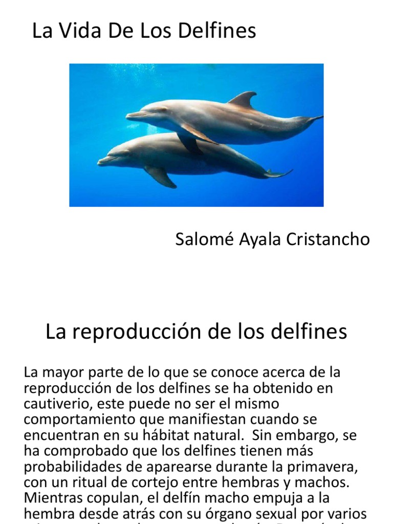 La Vida de Los Delfines | PDF | Apareamiento | Organismos