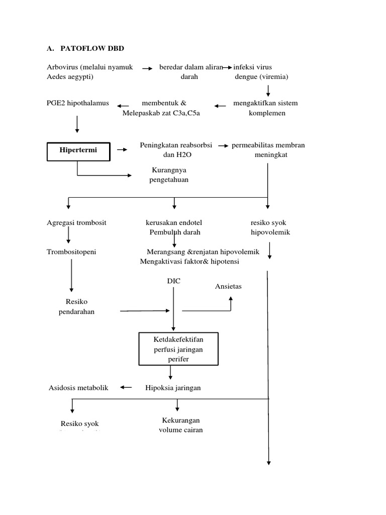 Woc DBD Perbaikan Siap | PDF