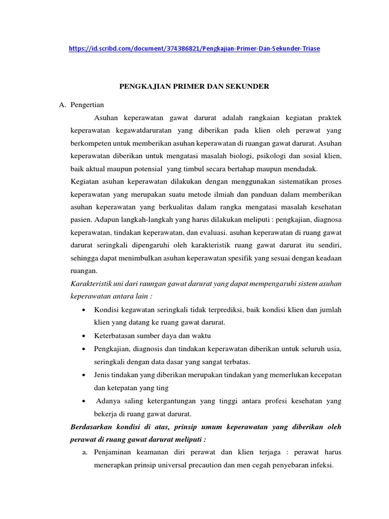 Triase Keperawatan Primer Dan Sekunder | PDF
