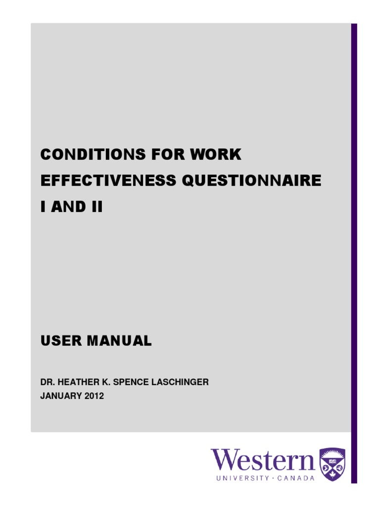 Conditions For Work Effectiveness Questionnaire Iandii: User Manual ...