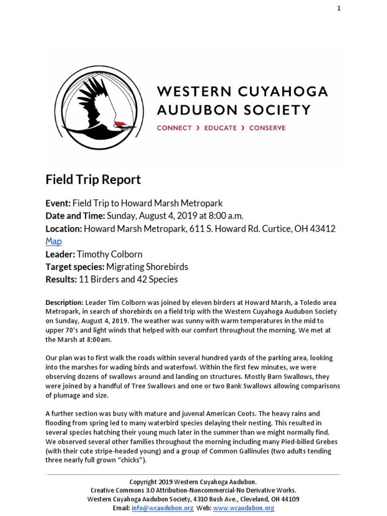 WCAS Field Trip To Howard Marsh Metropark August 5, 2019 Report | PDF ...