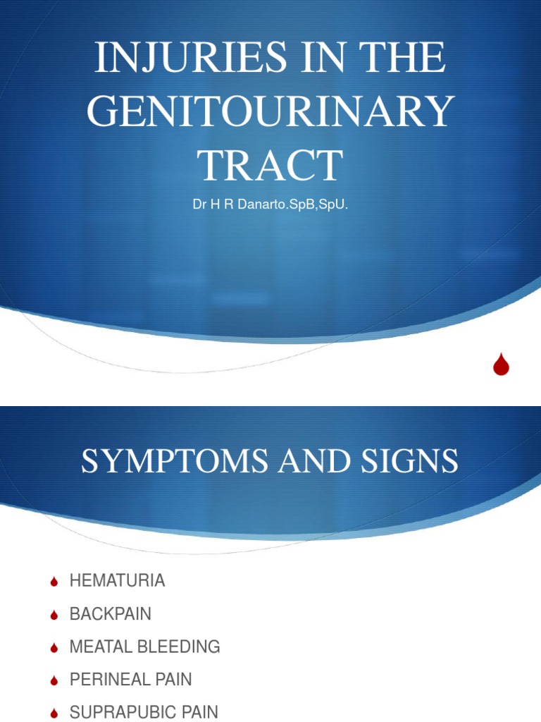 Injuries in The Genitourinary Tract: DR H R Danarto - SPB, Spu | PDF