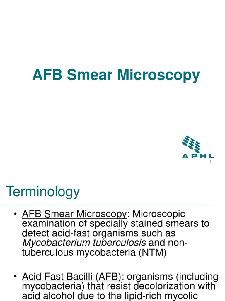 AFB Smear Microscopy Guide | PDF | Tuberculosis | Staining