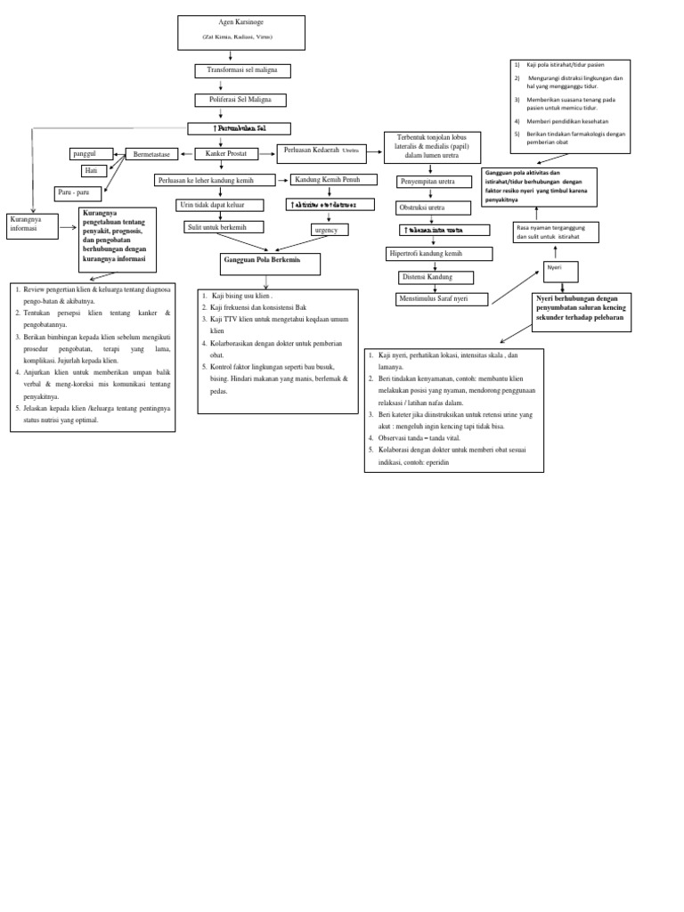 Woc - CA-Prostat | PDF