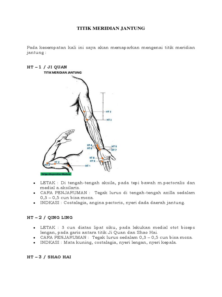 Titik Meridian Jantung | PDF
