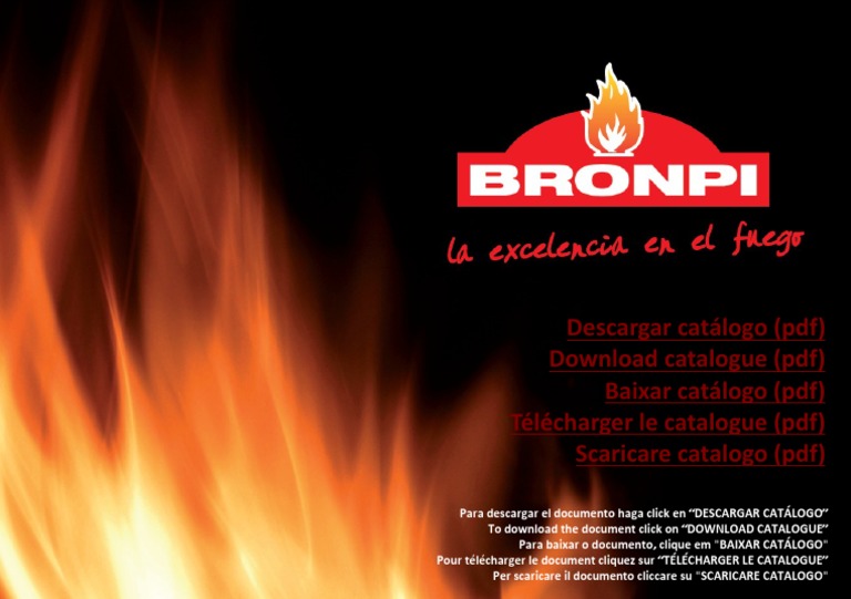 Catálogo Bronpi 2016 | PDF | Informática y tecnología de la información ...