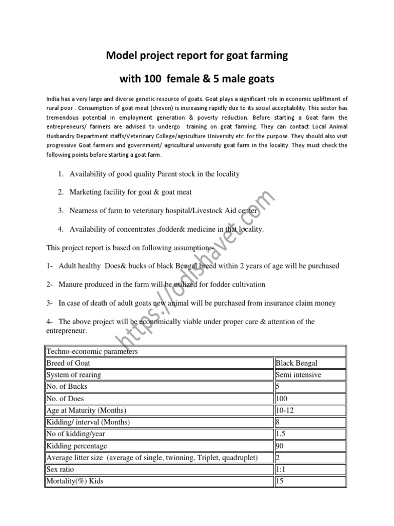 Goat Farming Project Report 100 Goats en PDF | PDF | Internal Rate Of ...