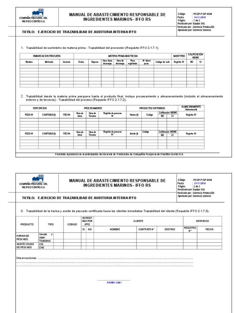 Formato - Ejerc. Trazabilidad Auditoria Int. Iffo Gp05-06 | PDF | Auditoría | Business